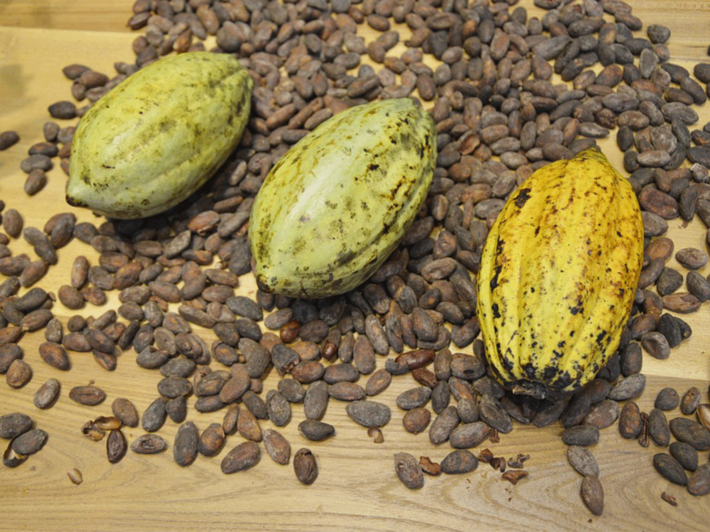 Top 5 des aliments mystérieux - ElleAdore